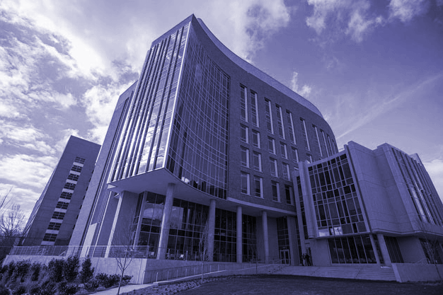 Before After - Palas China